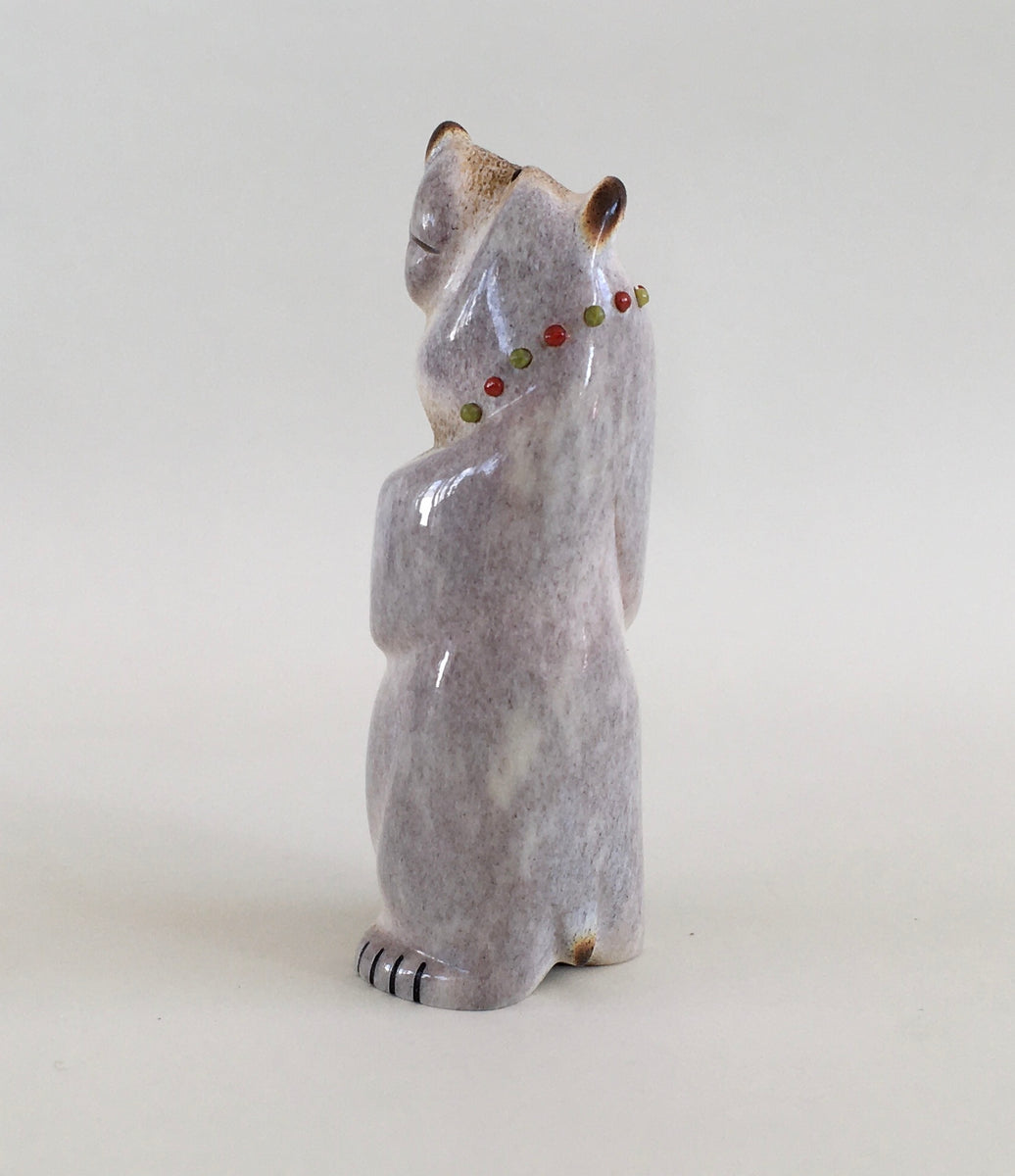 Bashful Bear – Dragonfly’s Trail